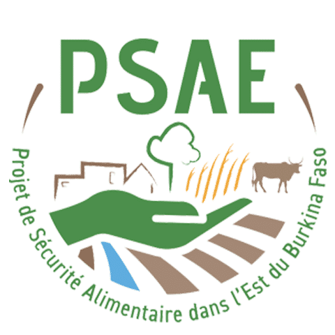 PSAE - Rétrospective sur le 11 décembre 2019 - CA17 International